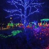 Lafarge Lake Loop, British Columbia, Canada - 224 Reviews, Map | AllTrails