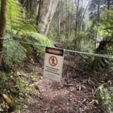 Furber Stairs to Mount Solitary, New South Wales, Australia - 101 ...