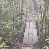 Furber Stairs to Mount Solitary, New South Wales, Australia - 103 ...