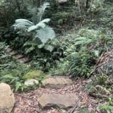 Sublime Point Trail, New South Wales, Australia - 50 Reviews, Map ...