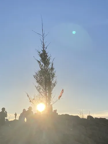 Best Camping Trails in Sunol Wilderness Regional Preserve | AllTrails