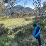 Mount Clear, Victoria, Australia - 5 Reviews, Map | AllTrails