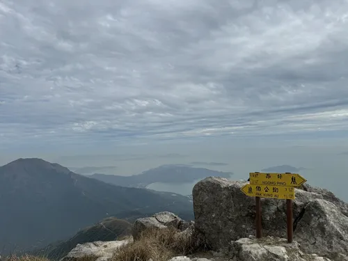 Best Bird Watching Trails in Ngong Ping | AllTrails