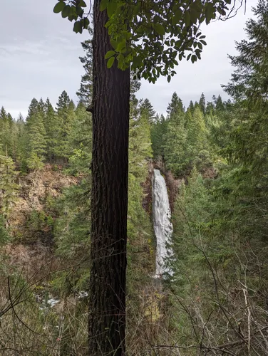 Best Hikes and Trails in Prospect State Scenic Viewpoint | AllTrails