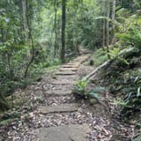Sublime Point Trail, New South Wales, Australia - 50 Reviews, Map ...