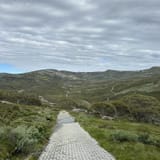 Main Range Walk, New South Wales, Australia - 723 Reviews, Map | AllTrails