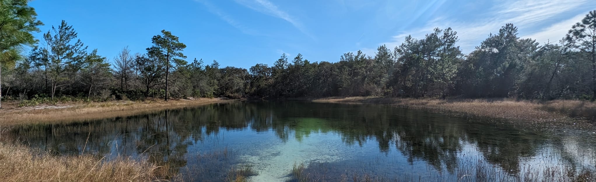Pat's Island to Hidden Lake via Florida Trail, Florida - 188 Reviews ...