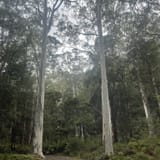 Sublime Point Trail, New South Wales, Australia - 50 Reviews, Map ...