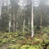 Sublime Point Trail, New South Wales, Australia - 50 Reviews, Map ...