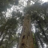 Sublime Point Trail, New South Wales, Australia - 50 Reviews, Map ...