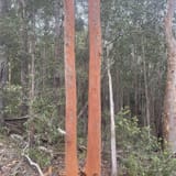 Sublime Point Trail, New South Wales, Australia - 50 Reviews, Map ...