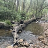 Sublime Point Trail, New South Wales, Australia - 50 Reviews, Map ...