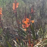 Silvermine River Circular Trail, Western Cape, South Africa - 108 ...
