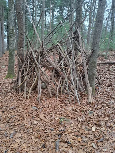 Best Hikes and Trails in Sally Milligan Park | AllTrails