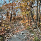 Monument Trail Loop, New Jersey - 1,793 Reviews, Map | AllTrails
