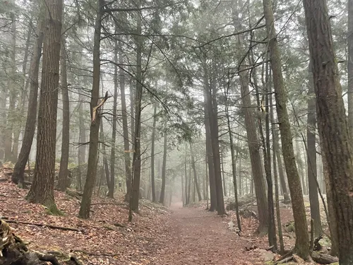 Best Hikes and Trails in Red Rocks Park | AllTrails