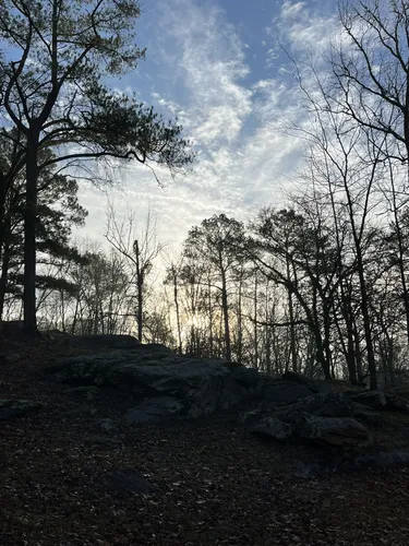 Best Hikes and Trails in McIntosh Reserve Park | AllTrails