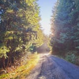 Boardman Lake Trail, Washington - 220 Reviews, Map | AllTrails