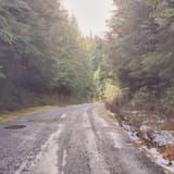 Boardman Lake Trail, Washington - 220 Reviews, Map | AllTrails