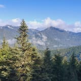 Boardman Lake Trail, Washington - 220 Reviews, Map | AllTrails