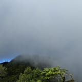 Mount Britton Tower Trail, East Region, Puerto Rico - 1,701 Reviews ...