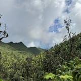 Mount Britton Tower Trail, East Region, Puerto Rico - 1,701 Reviews ...