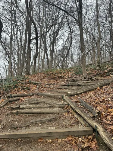 Best Hikes and Trails in Cold Spring Harbor State Park | AllTrails