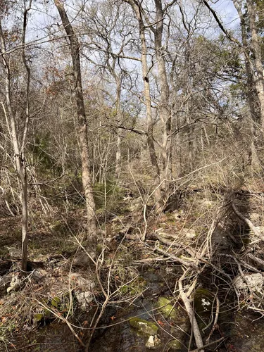 Best Hikes and Trails in Mother Neff State Park | AllTrails