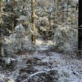 Raven Red Trail Loop, Wisconsin - 199 Reviews, Map | AllTrails