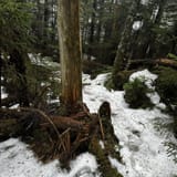 Whaleback Mountain Snowshoe Route, New Hampshire - 61 Reviews, Map ...