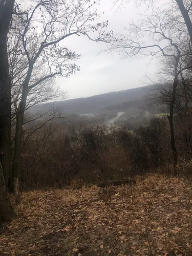 Best Hikes and Trails in Braddocks Trail Park | AllTrails