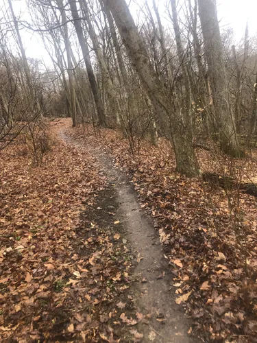 Best Hikes and Trails in Braddocks Trail Park | AllTrails