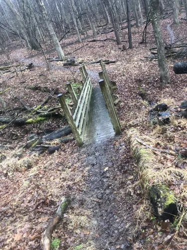 Best Hikes and Trails in Braddocks Trail Park | AllTrails