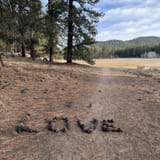 Nevada Beach and Round Mound Trail, Nevada - 585 Reviews, Map | AllTrails