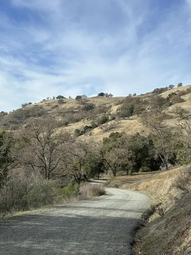Best Camping Trails in Sunol Wilderness Regional Preserve | AllTrails
