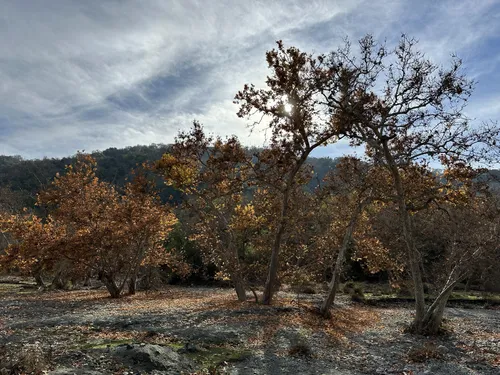 Best Camping Trails in Sunol Wilderness Regional Preserve | AllTrails