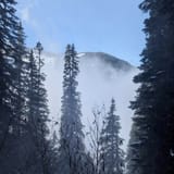 Annette Lake Trail, Washington - 5,524 Reviews, Map | AllTrails
