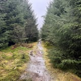 Irton Pike Circular, Cumbria, England - 40 Reviews, Map | AllTrails