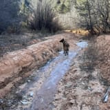 The Belly of the Dragon, Utah - 1,650 Reviews, Map | AllTrails