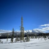 Burro Trail, Colorado - 1,075 Reviews, Map | AllTrails