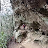 Hidden Arch Trail, Kentucky - 1,081 Reviews, Map | AllTrails