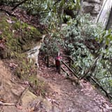 Hidden Arch Trail, Kentucky - 1,081 Reviews, Map | AllTrails