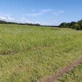 Good Water Loop, Texas - 844 Reviews, Map | AllTrails