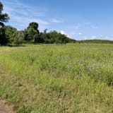 Good Water Loop, Texas - 844 Reviews, Map | AllTrails