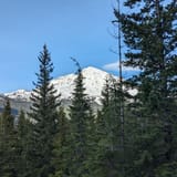 Rampart Ridge Loop, Washington - 2,039 Reviews, Map | AllTrails