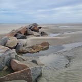 Dungeness Loop Trail, Georgia - 510 Reviews, Map | AllTrails