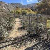 Two Trees Trail, California - 1,217 Reviews, Map | AllTrails