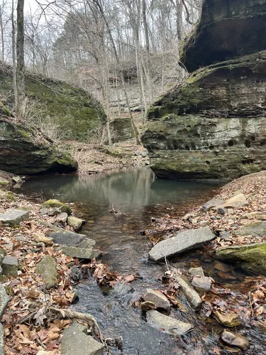 Best Hikes and Trails in Bell Smith Springs Natural Landmark | AllTrails