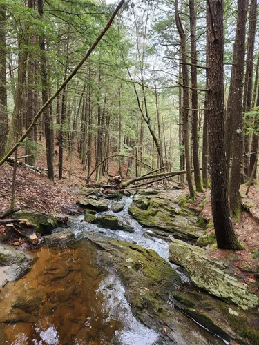 Best Hikes and Trails in Fuller Farm Preserve | AllTrails