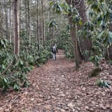 Little Monadnock Mountain Trail, New Hampshire - 372 Reviews, Map ...